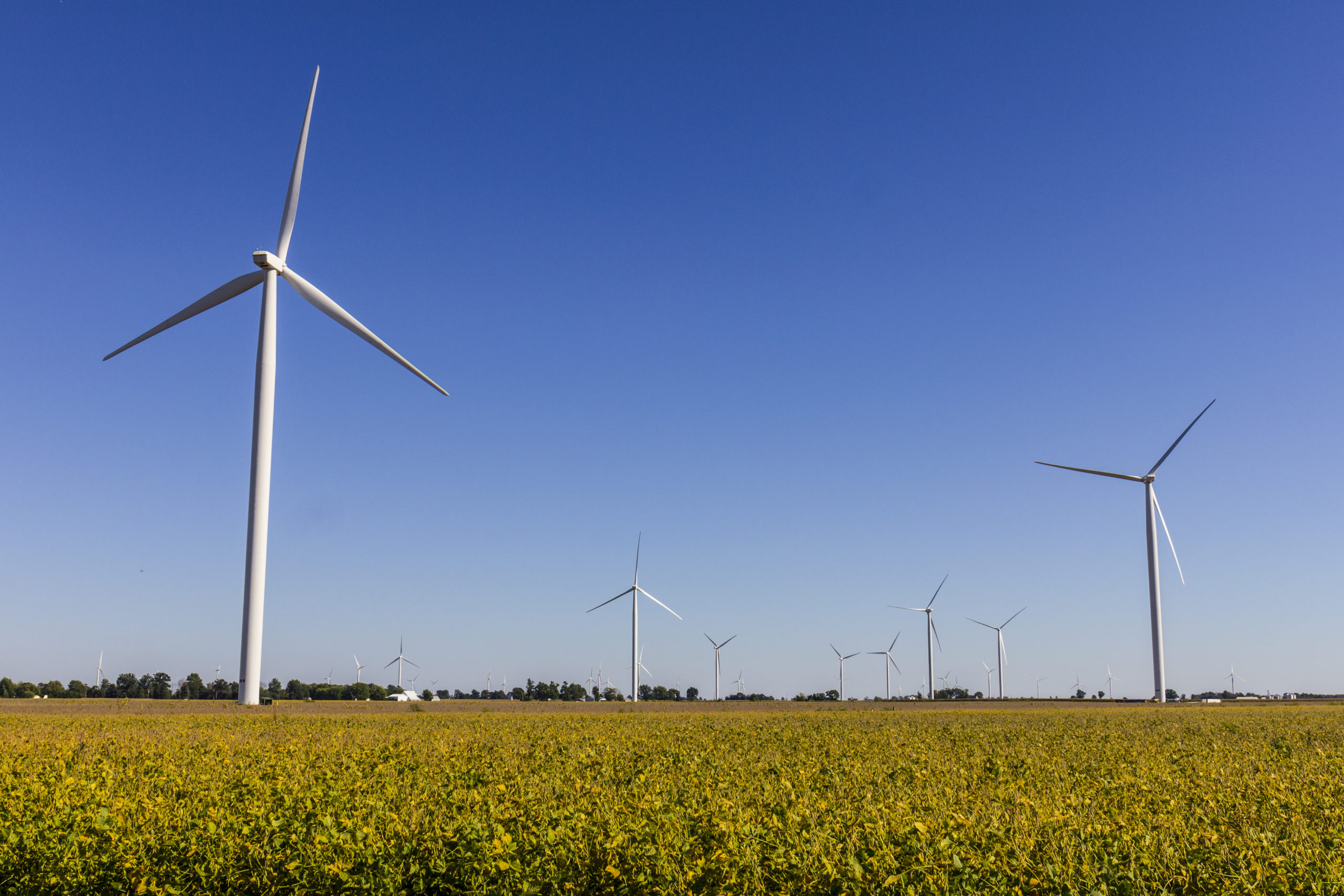 REAP 3.0: Expanding and Improving the Rural Energy for America Program ...