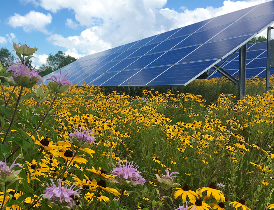 A Win-Win-Win for the Environment | ELPC