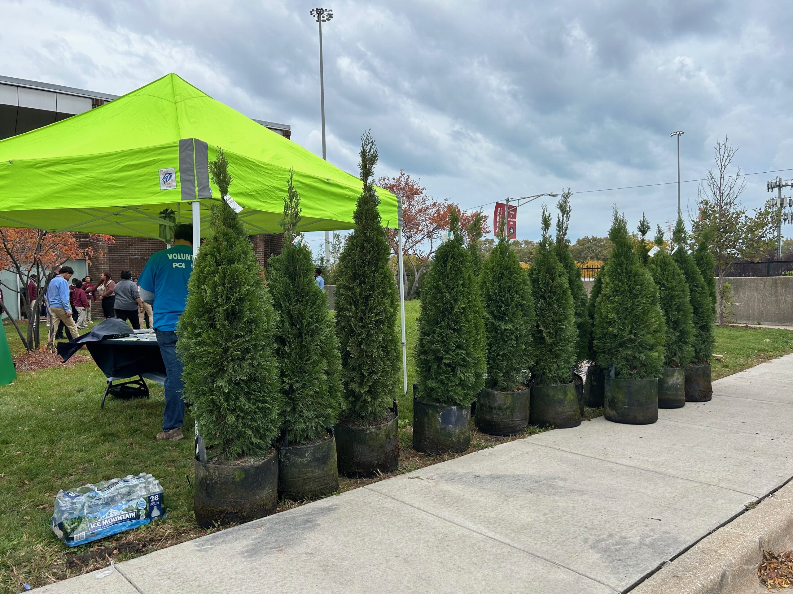 Planting Vegetative Buffers to Protect Kids from Air Pollution ...