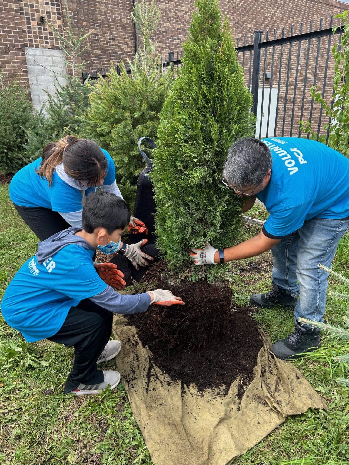 Planting Vegetative Buffers to Protect Kids from Air Pollution ...