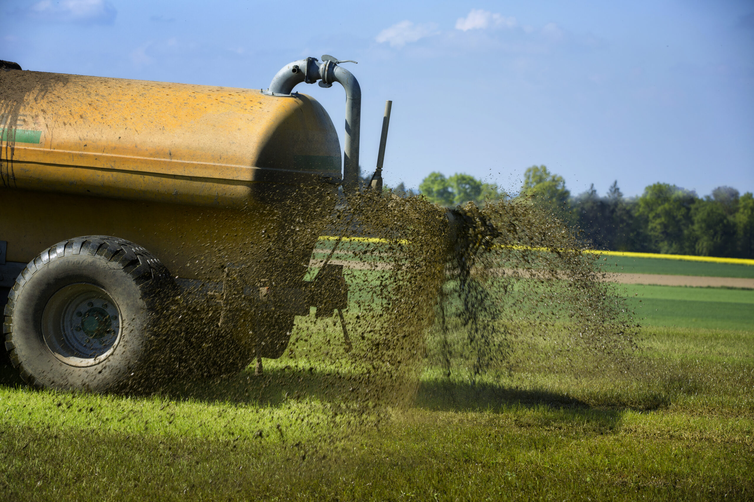 Report: Tackling Livestock Pollution to Protect Clean Water in MI