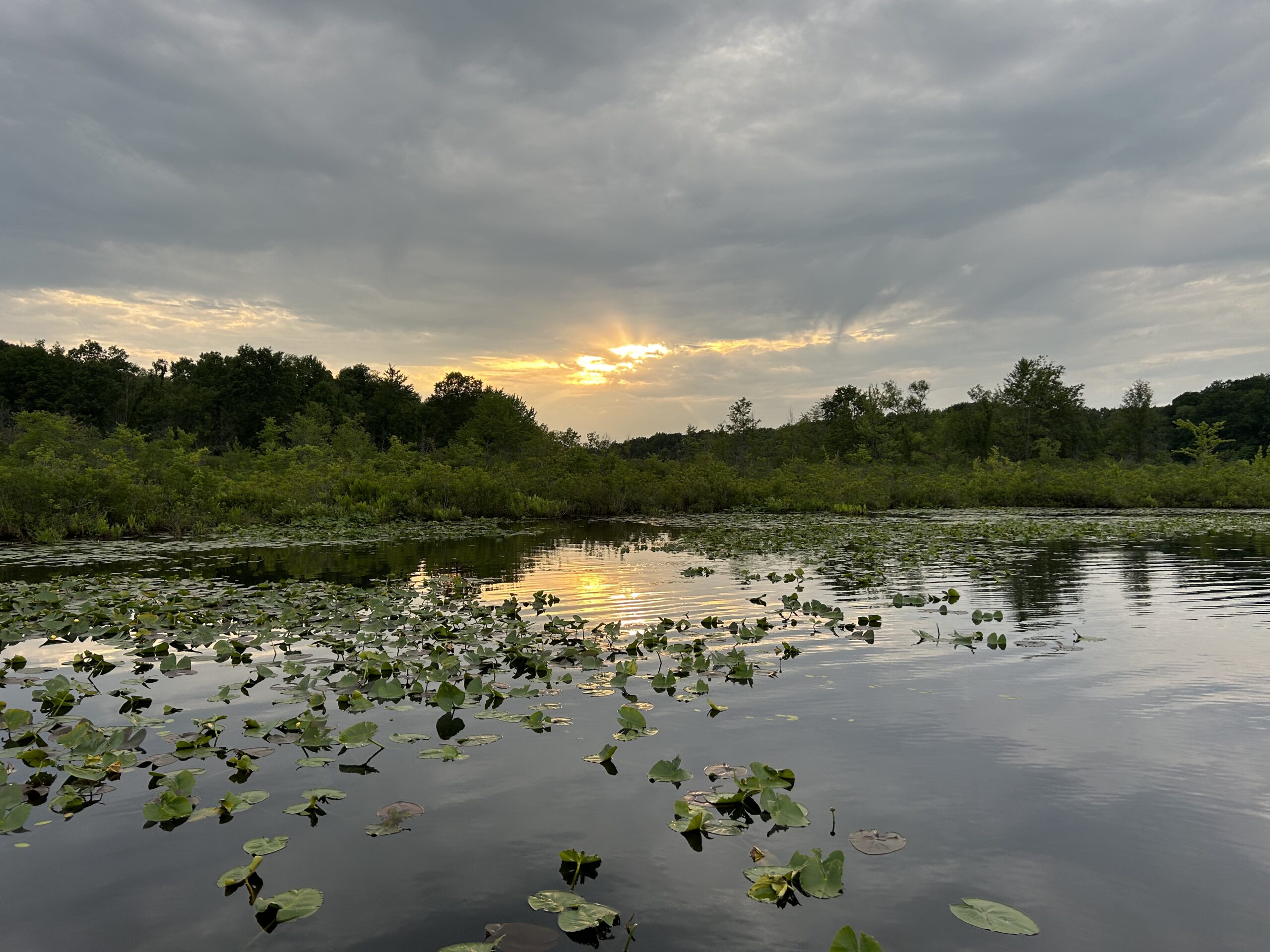 MI Supreme Court Decision is a Win for Clean Water | ELPC