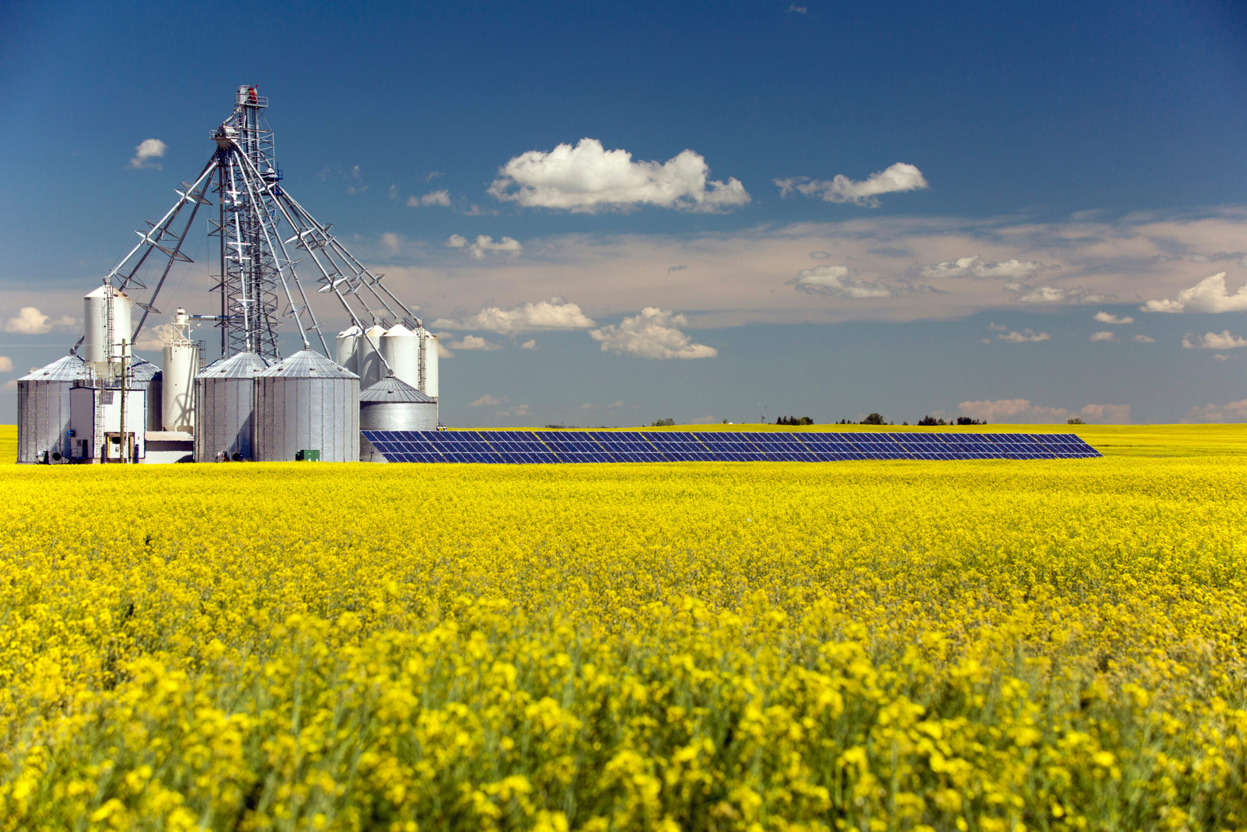 USDA Announces Halt in REAP Grants | ELPC